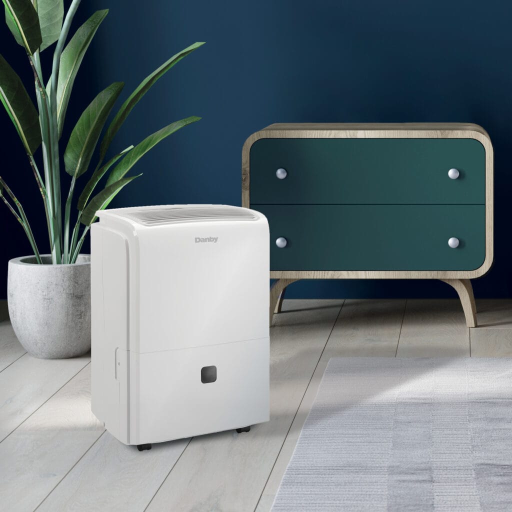 Say Goodbye to Mold and Mildew: How Dehumidifiers Prevent Mold Growt ...